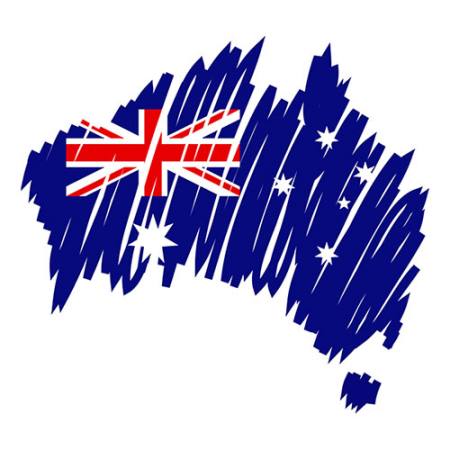 Shop - BullAnt Designs